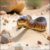 Kenyan Sand Boa Care: Appearance, Diet, Lifespan, Tank Setup & More