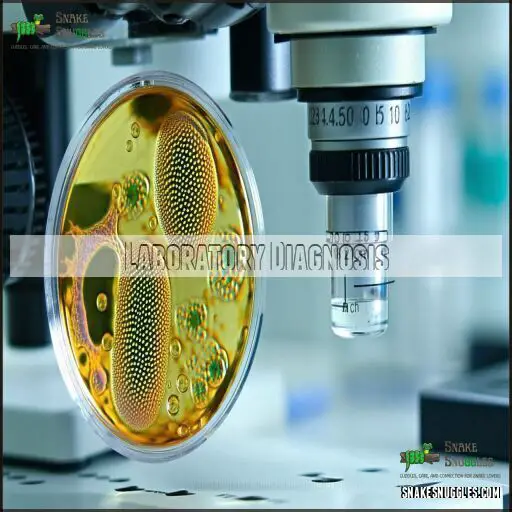 Treating Common Snake Skin Problems: 7 Expert Solutions That Actually Work