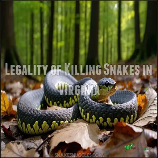 Is It Illegal to Kill Snakes in Virginia? Know The Laws Before You Act!