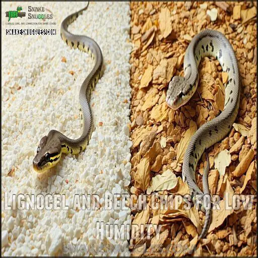 Lower Humidity in Snake Tank: Proven Tips for Healthier Snakes