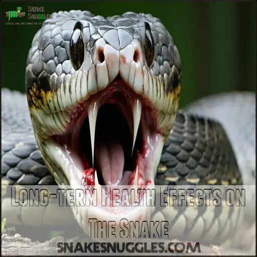 What Happens When You Defang a Snake? Risks, Ethics, and Care Explained