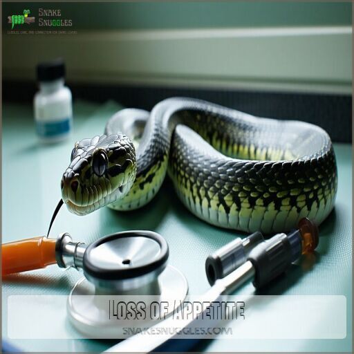 Snake Mouth Rot Symptoms, Causes, and How to Treat It Effectively