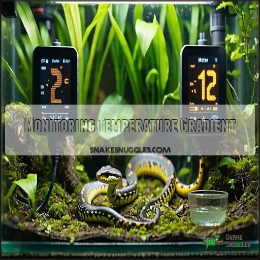 Corn Snake Temperature Gradient Guide: Ideal Temps & Heating Tips