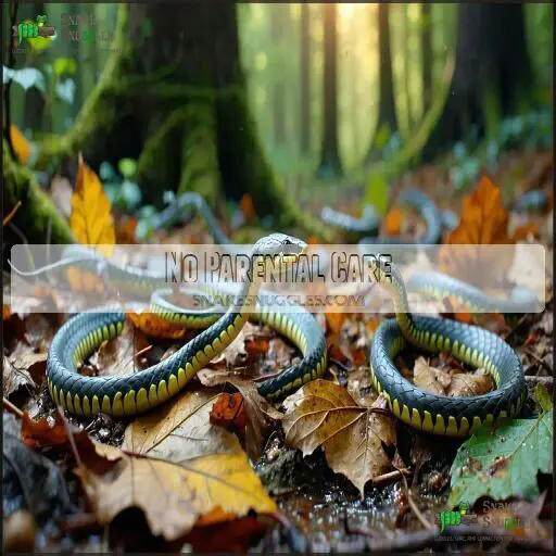 Caring for Newborn Snakes After Hatching: Essential Tips and Insights