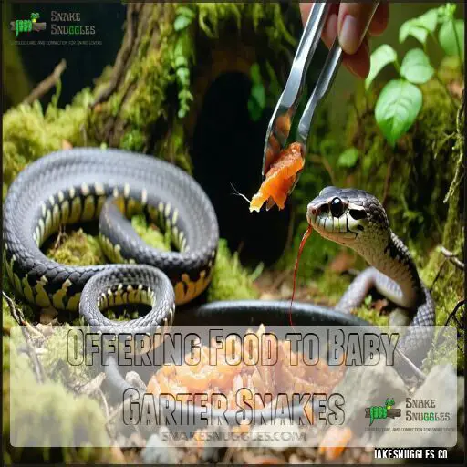 How to Get Baby Garter Snakes to Eat: Expert Tips for Feeding Success