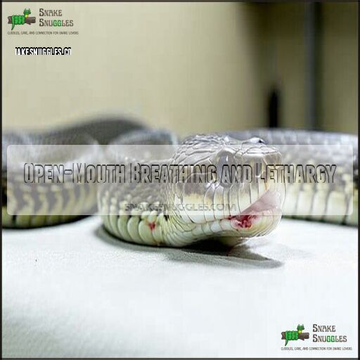 Snake Mouth Rot Symptoms, Causes, and How to Treat It Effectively