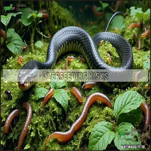 What Do Ringneck Snakes Eat? 10 Surprising Prey Items Revealed!