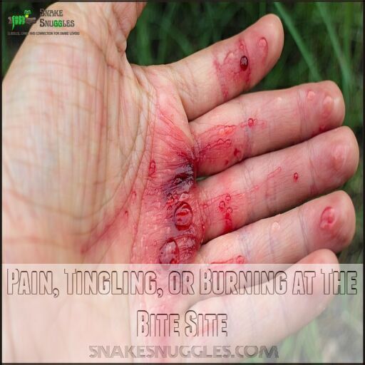 How Long Does It Take to Feel The Effects of a Snake Bite? Critical ...