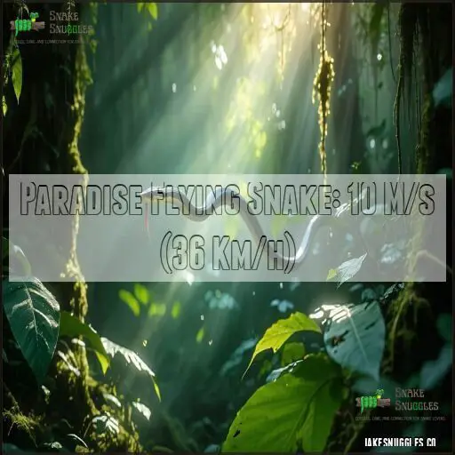 How Fast Can a Snake Slither? The World's Quickest Snakes Revealed!