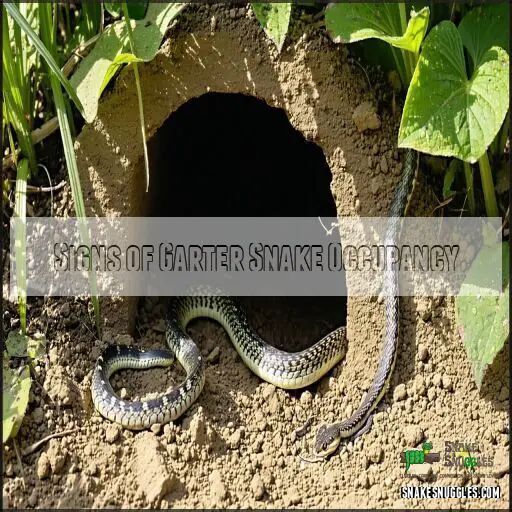 Do Garter Snakes Burrow? Facts About Their Underground Behavior