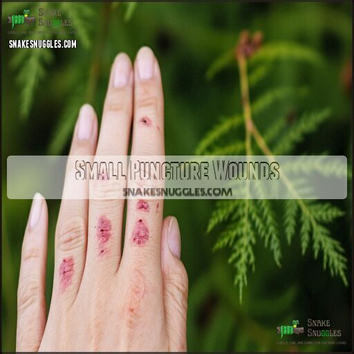 Do Corn Snakes Bite Often? Myths, Facts, and How to Avoid Being Bitten