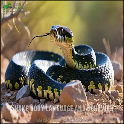 What Venomous Snakes Live in Arizona? Top Species to Watch Out For