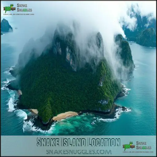 Snake Island: Brazil's Deadly Paradise With 5 Snakes Per Square Meter