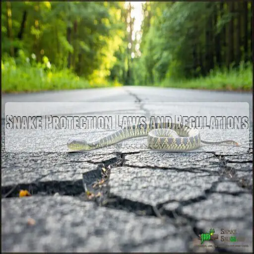 Can a Snake Survive Being Run Over? The Truth Will Shock You!
