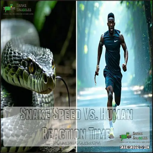 How Fast Can a Snake Slither? The World's Quickest Snakes Revealed!