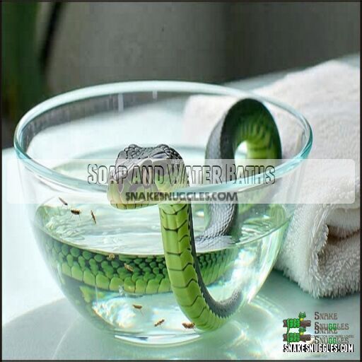 Snake Mites: Causes, Signs, Treatment & Prevention Every Keeper Must Know