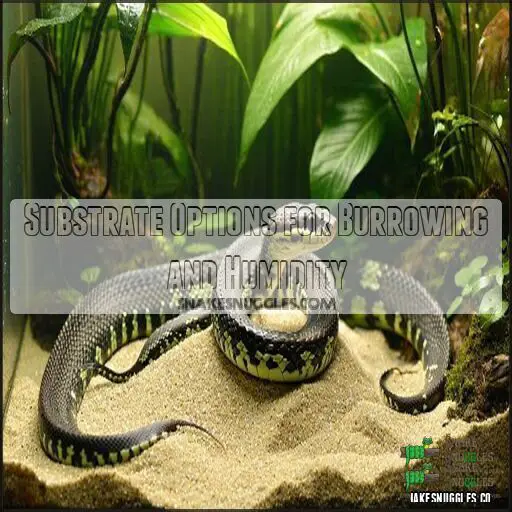 Are Kenyan Sand Boas Good for Beginners? 5 Reasons They're Perfect Pets!