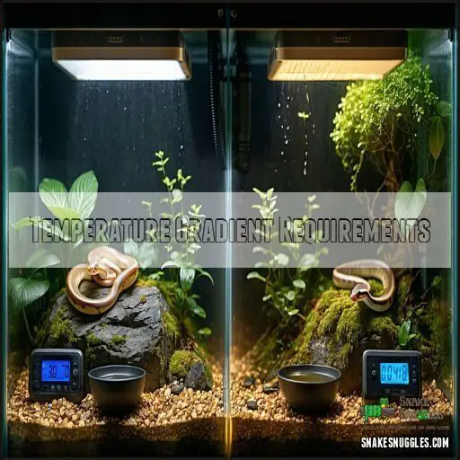 Do Ball Pythons Make Good Pets? Pros, Cons, and Essential Care Tips