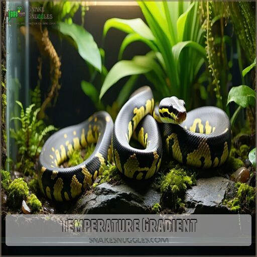 How Big Do Corn Snakes Get? Size, Growth Stages & Care Tips