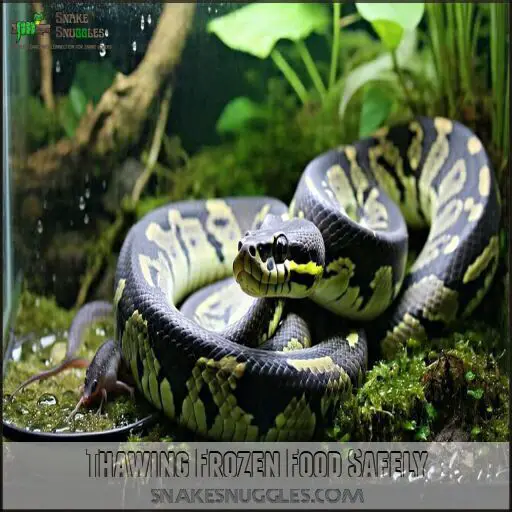 Do Ball Pythons Make Good Pets? Pros, Cons, and Essential Care Tips