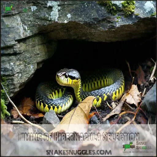 Where Do Snakes Go in The Winter? Secrets of Their Winter Hideouts