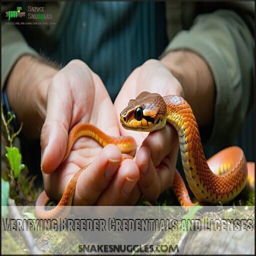 Corn Snake Breeders Near Me - Find Top Reptile Experts and Local Options