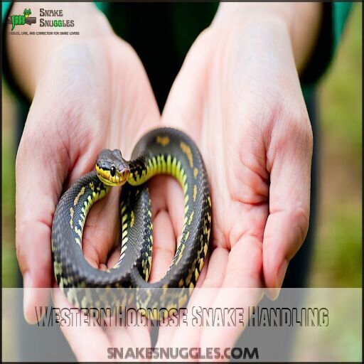 Quiet Snake Species for Homes: Top Low-Maintenance Pet Snakes