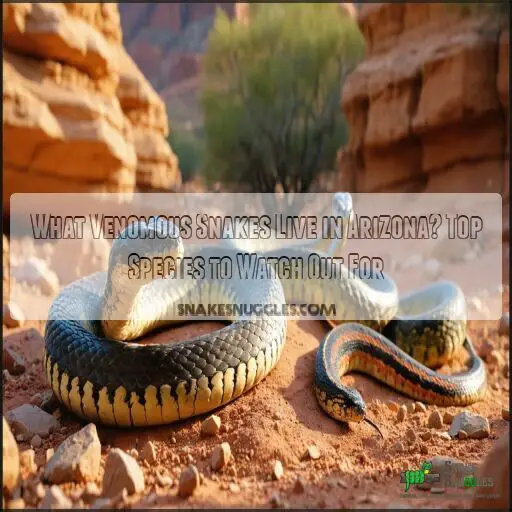 What Venomous Snakes Live in Arizona? Top Species to Watch Out For
