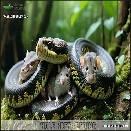 What to Feed Breeding Snakes: 7 Power Foods for Healthy Offspring