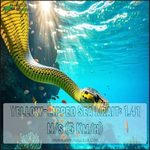 How Fast Can a Snake Slither? The World's Quickest Snakes Revealed!