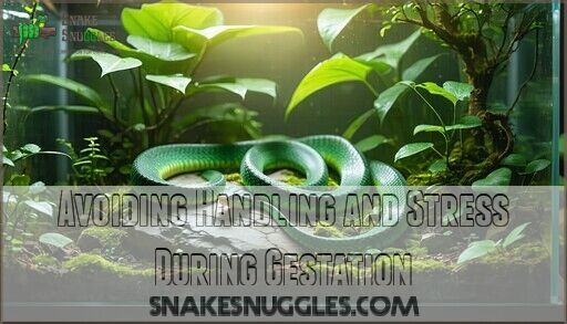 How Long Are Snakes Pregnant? The Shocking Truth About Snake Gestation