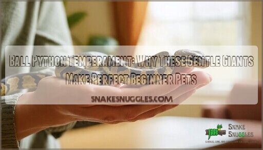 Ball Python Temperament: Why These Gentle Giants Make Perfect Beginner Pets