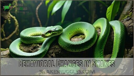 Snake Mites How to Identify and Prevent Infestations in Your Pet Reptile