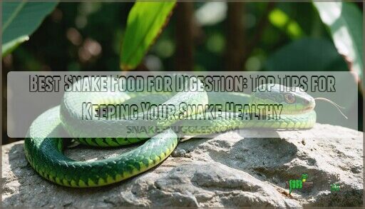 Best Snake Food for Digestion: Top Tips for Keeping Your Snake Healthy