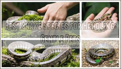 Best Snake Species for Handling: Gentle Pets