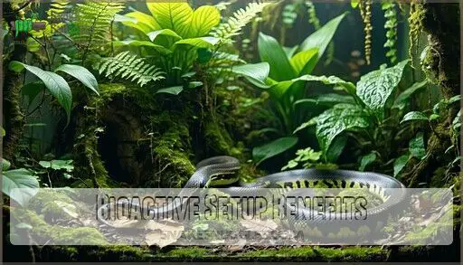 Ball Python Bioactive Setup Benefits