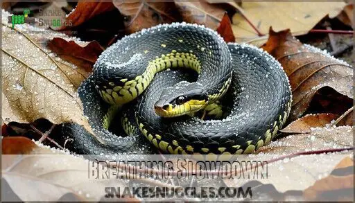 When Do Snakes Go Into Hibernation? Everything You Need to Know