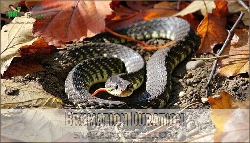 When Do Snakes Go Into Hibernation? Everything You Need to Know