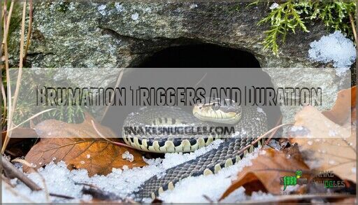 When Do Snakes Hibernate? Facts About Timing and Survival Explained