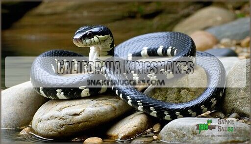 Unique Looking Snake Species Guide: Weird Snakes