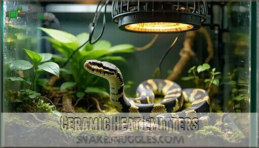 Ball Python Lighting and Heating: 7 Expert Tips for a Thriving Snake