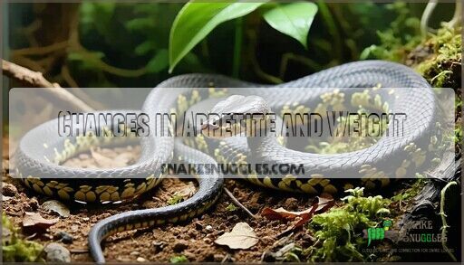Corn Snake Health Problems: Signs, Diseases, and Vital Care Tips