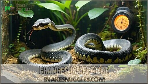 Boa Constrictor Health Problems: Warning Signs and Care Tips