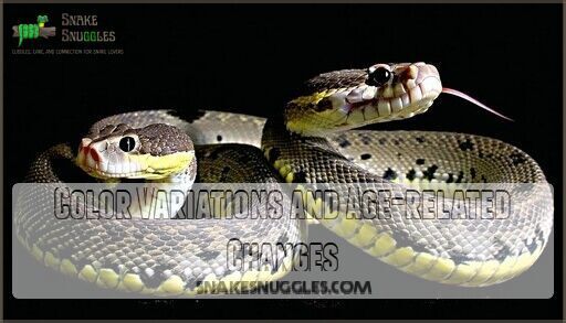 Types of Boa Constrictors: Complete Species Guide for Snake Lovers