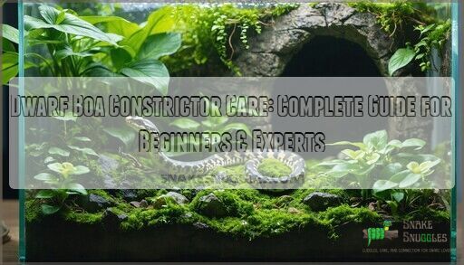 Dwarf Boa Constrictor Care: Complete Guide for Beginners & Experts