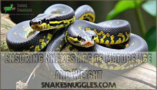 Best Snake Species for Breeding: Top 10 Choices for Success (2025)