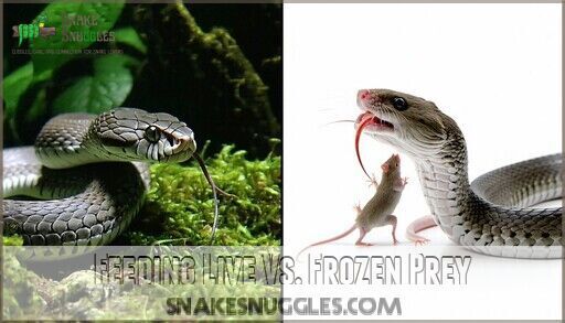 Optimal Snake Feeding Schedule: Tips for Healthy and Happy Snakes