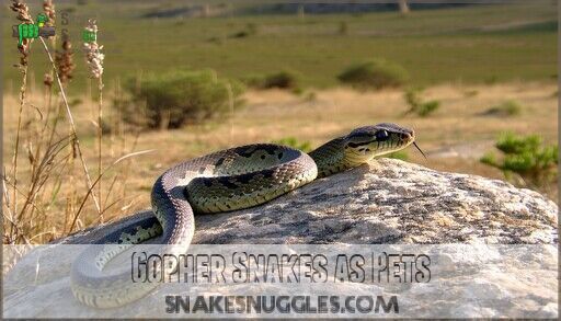 Popular Snake Breeds as Pets: Top Choices for Beginners and Experts