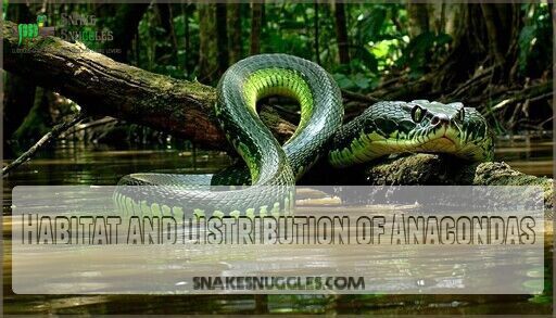 Anaconda Facts: Incredible Size, Diet, and Hunting Skills Explained