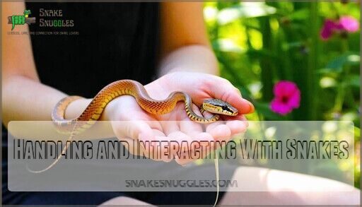 Best Snake Species for Beginners: Easy, Friendly, and Low-Maintenance Pets